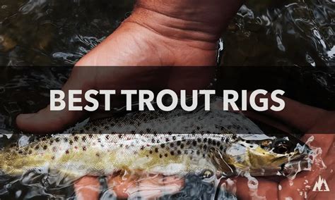 Trout Fishing Rigs Setup Beginner S Guide Rep The Wild