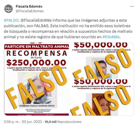 Justicia Para Huellitas Esto Se Sabe Del Caso Del Perrito Torturado
