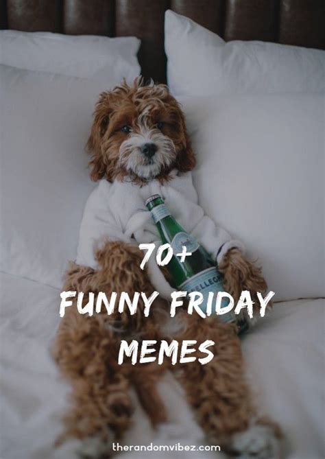 70 Funniest Friday Memes And Best TGIF Meme For The Weekend Friday