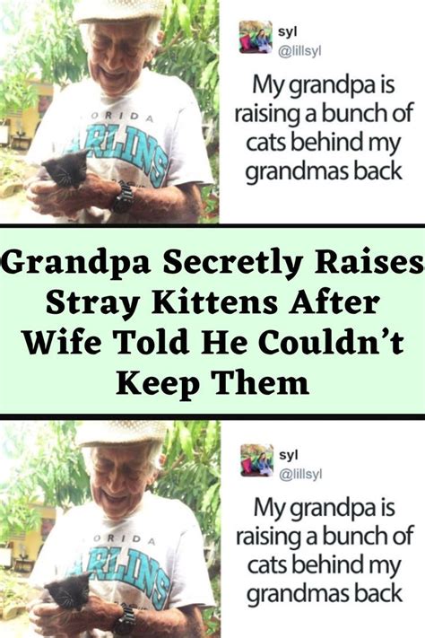 Two Pictures With The Caption Grandpa Secrety Raises Stray Kittens After Wife Told He Couldnt