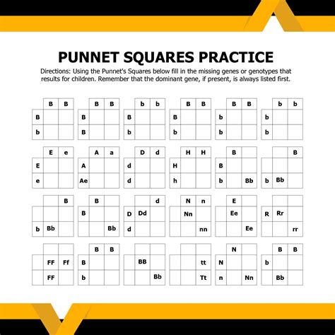 Free Printable Punnett Square Practice Worksheets Answer Key Pdf