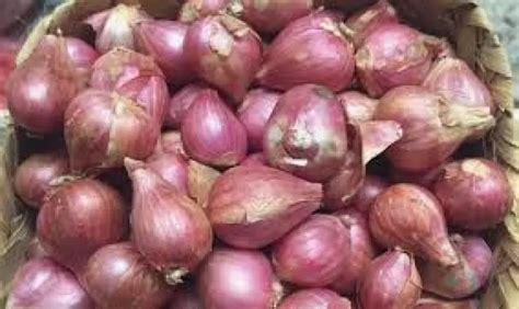 Tak Hanya Obat Masuk Angin Ini 9 Manfaat Bawang Merah Untuk Kesehatan