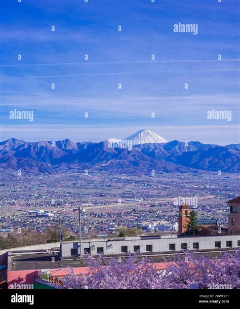 Yamanashi Landscapes Cherry Blossoms And Kofu Basin Distant View Of Mt