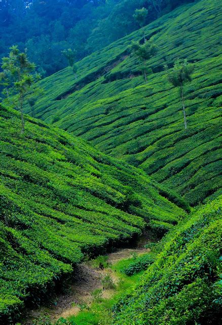 TOP 5 TOURIST PLACES IN KERALA