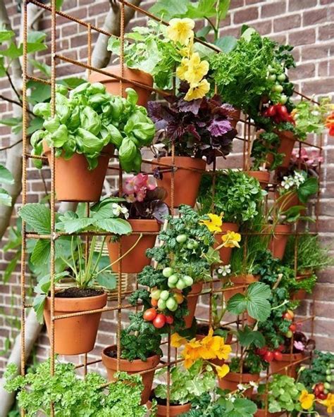 35 Creative Container Vegetable Garden Ideas A Piece Of Rainbow