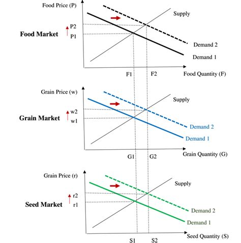 Primary And Derived Demand And Supply Of Seed Grain And Food Product