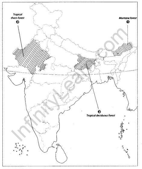 Class Geography Map Work Chapter Natural Vegetation And Wildlife