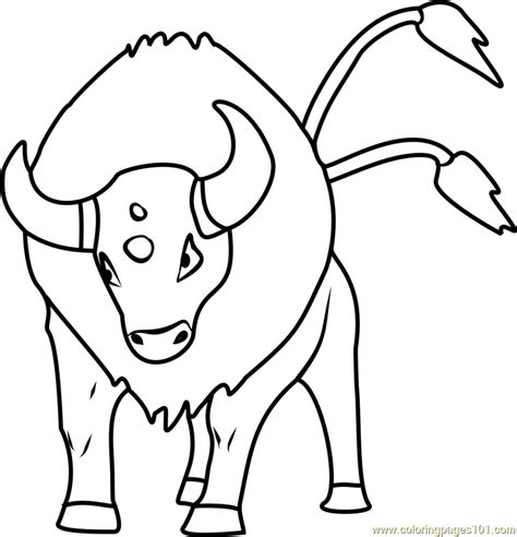 Pokemon Tauros Coloring Page Turkau The Best Porn Website