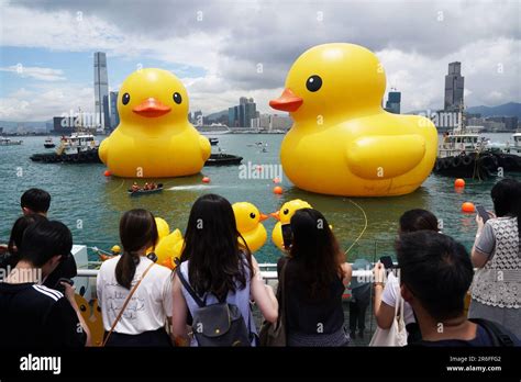 230609 HONG KONG June 9 2023 Xinhua People Look At A Pair