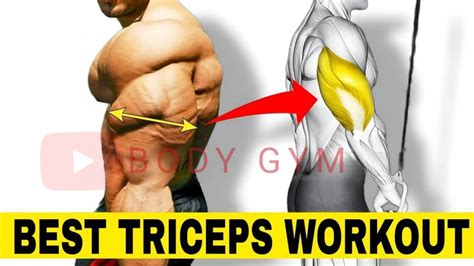 6 Tricep Exercises For MASSIVE Arms Triceps Workout At Gym Bigger