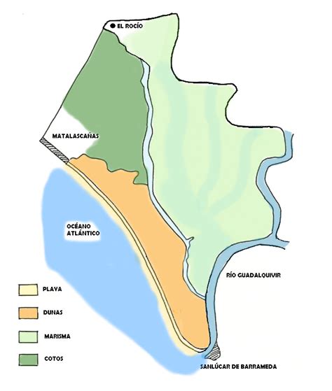 Doñana y la clave de su posición geográfica Doñanatour