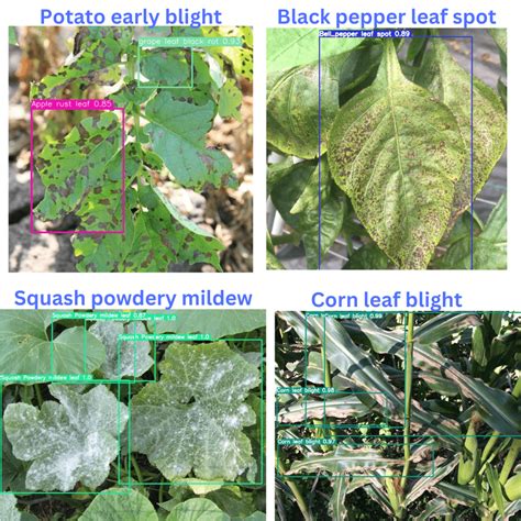 Plant Disease Detection Using The PlantDoc Dataset And PyTorch