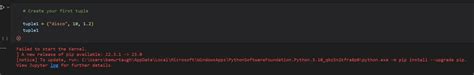 running python code in a jupyter notebook fails to install missing notebook dependencies · issue