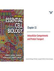 Intracellular Components And Protein Transport Part 2 Pdf Chapter 15