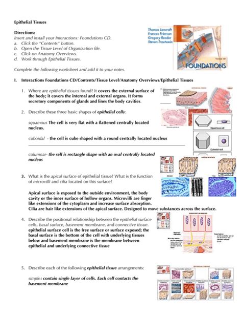 Anatomy Worksheet Epithelial Tissues Answers Worksheet List Anatomy