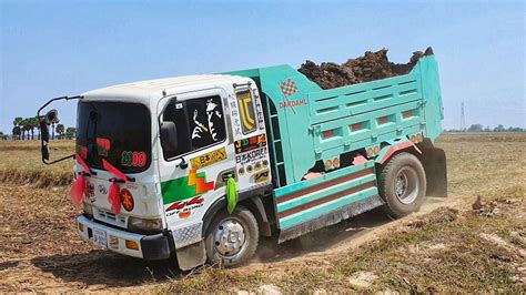 Hyundai Dump Truck Tractor Kubota Working Bulldozer Loading Truck