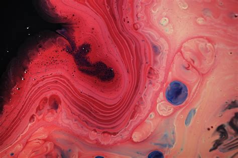 Create Stunning Maps With ArcGIS Maps For Adobe Creative Cloud GeoMarvel