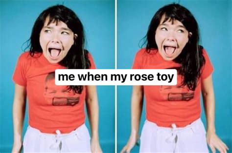 Pin By Serena On Lol In 2024 Bjork Funny Laugh Really Funny