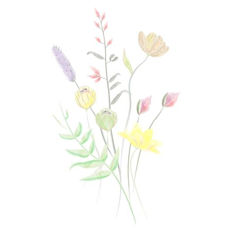 Wildblumen Aquarell Vektor In Illustrationsblume Premium Vektor