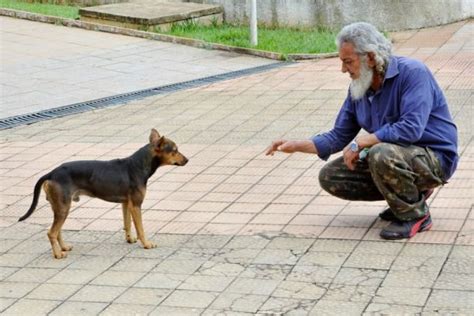 Ex morador de rua conhecido por adotar cães é assassinado em Goiânia
