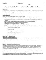 Bio W Labmod Microscopy Docx Biol Clark College Name