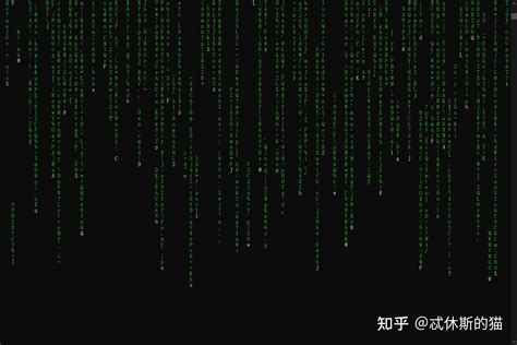 windows实现黑客帝国代码雨效果 知乎