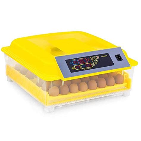 Incubadoras Para Huevos Para Comprar Online La Mejor Selecci N