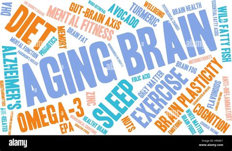 Plasticidad cerebral Imágenes vectoriales de stock Alamy