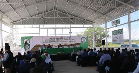 Se Inaugura El Hub Juventino Rosas Guanajuato Primera Infraestructura