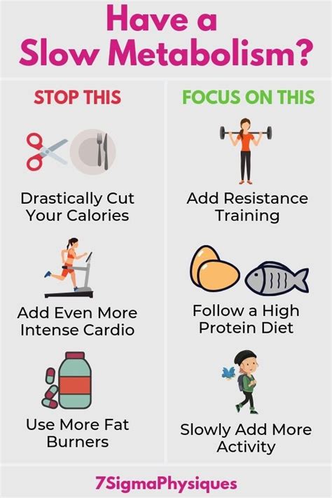 Does Cardio Slow Down Your Metabolism PostureInfoHub