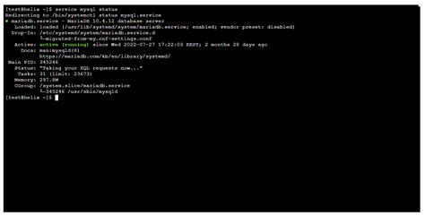 How To Back Up A Mysql Database Knowledge Base Scalahosting