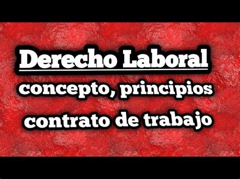 Guía de Derecho Laboral en España Todo lo que Necesitas Saber Tu