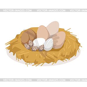 Chicken Eggs In Nest Clipart