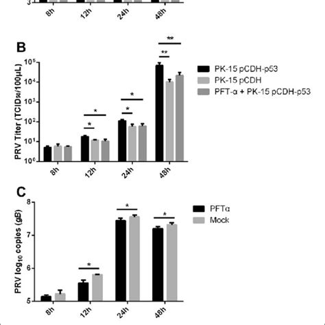 Effect Of P53 On The PRV Replication In Vitro A The Viral GB Gene