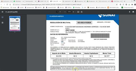 Reconocimiento De Pago Con Error Sunat