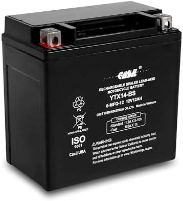 Amazon YTX14 BS ATV Battery High Performance Maintenance Free