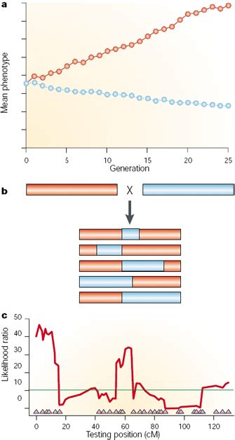 quantitative trait locus qtl analysis learn science at scitable