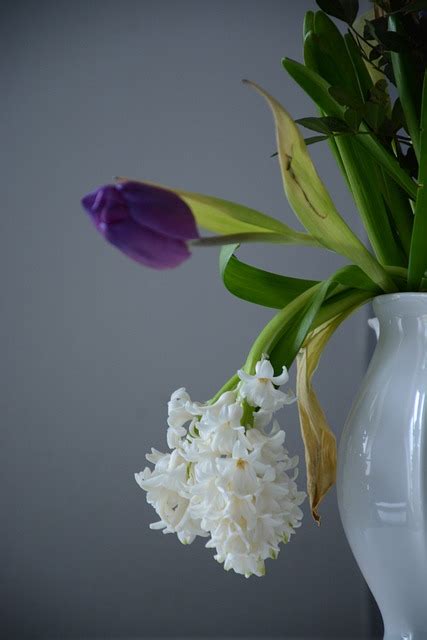 Wiosna Tulipan Kwiaty Darmowe Zdj Cie Na Pixabay Pixabay