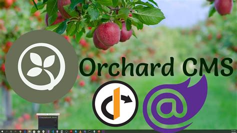 Openid Connect Authorization In A Blazor Webassembly Application Youtube