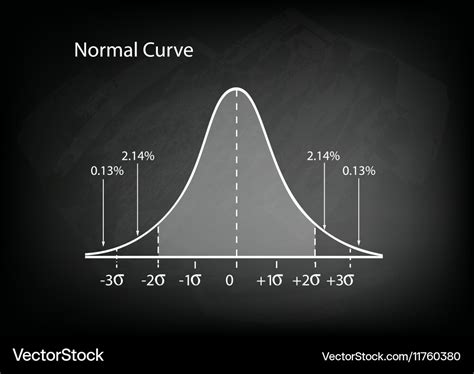 Normal Distribution Diagram Or Bell Curve Vector Image