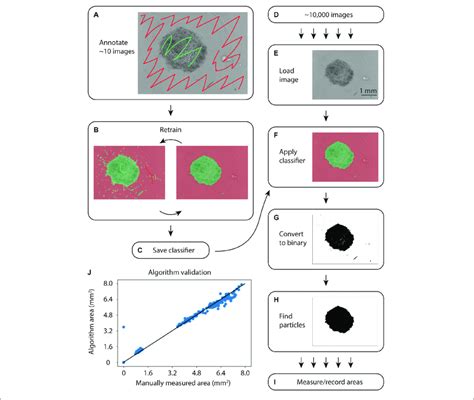 overview of weka segmentation a first the training set of ∼10 download scientific diagram