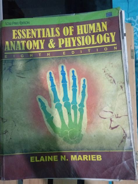 Essential Of Human Anatomy And Physiology 8th Edition By Marieb