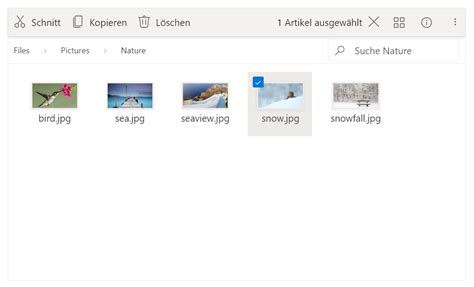 angular file manager file explorer syncfusion