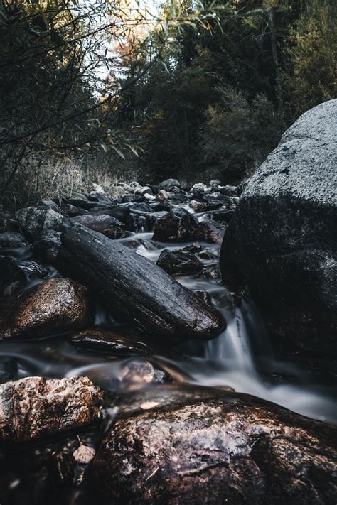 Fotos Gratis Cuerpo De Agua Naturaleza Corriente De Agua Los