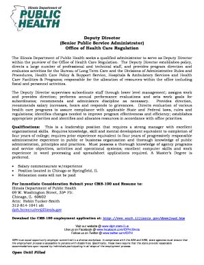 Fillable Online Idph State Il Chief Information Officer Full Time