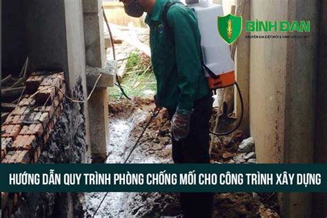 Hướng dẫn quy trình phòng chống mối cho công trình xây dựng LH 0912
