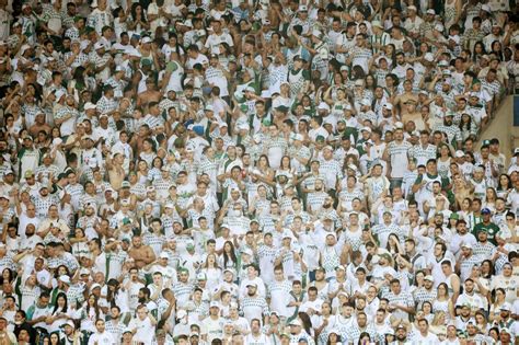 Palmeiras x Cerro Porteño 38 mil ingressos vendidos veja preços e