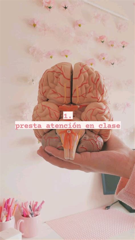 10 Tips De Estudio Que Nunca Fallan Para Sacar Las Mejores