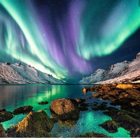 Lapônia aurora boreal 2021 MG3 Northern lights norway Northern