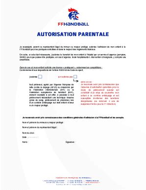 Remplissable En Ligne Renouvellement De La Carte D Identit D Un Majeur